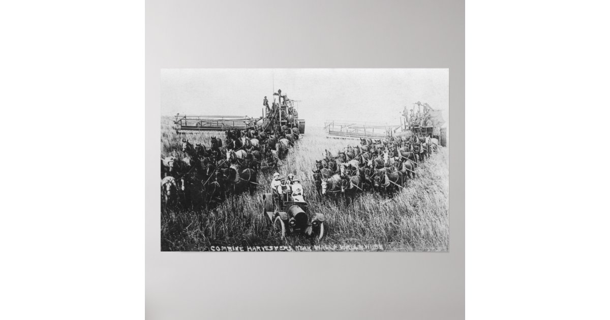 Combine Harvester Scene Poster | Zazzle