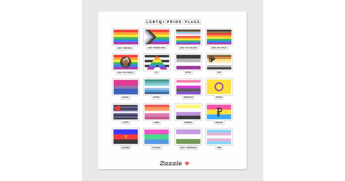 Complete LGBTQ+ Pride Flag Guide | Zazzle