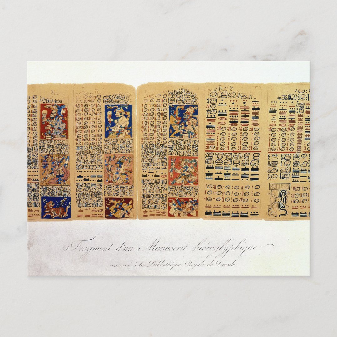 Copy of a fragment of the Dresden Codex Postcard | Zazzle