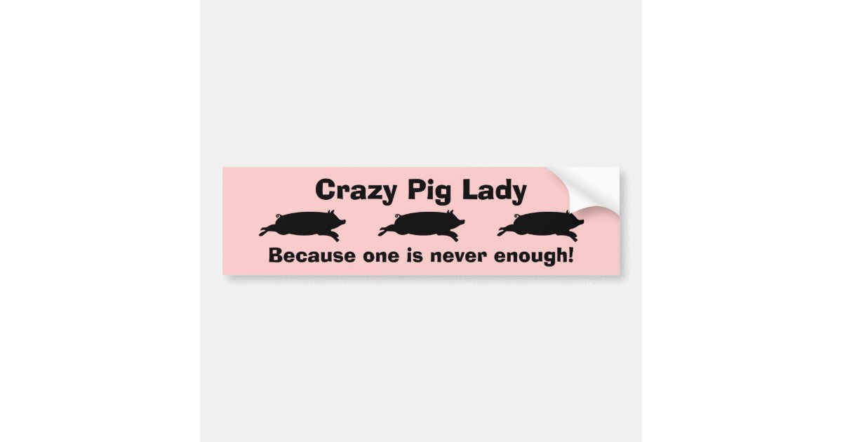 Crazy Pig Lady Bumper Stickers | Zazzle