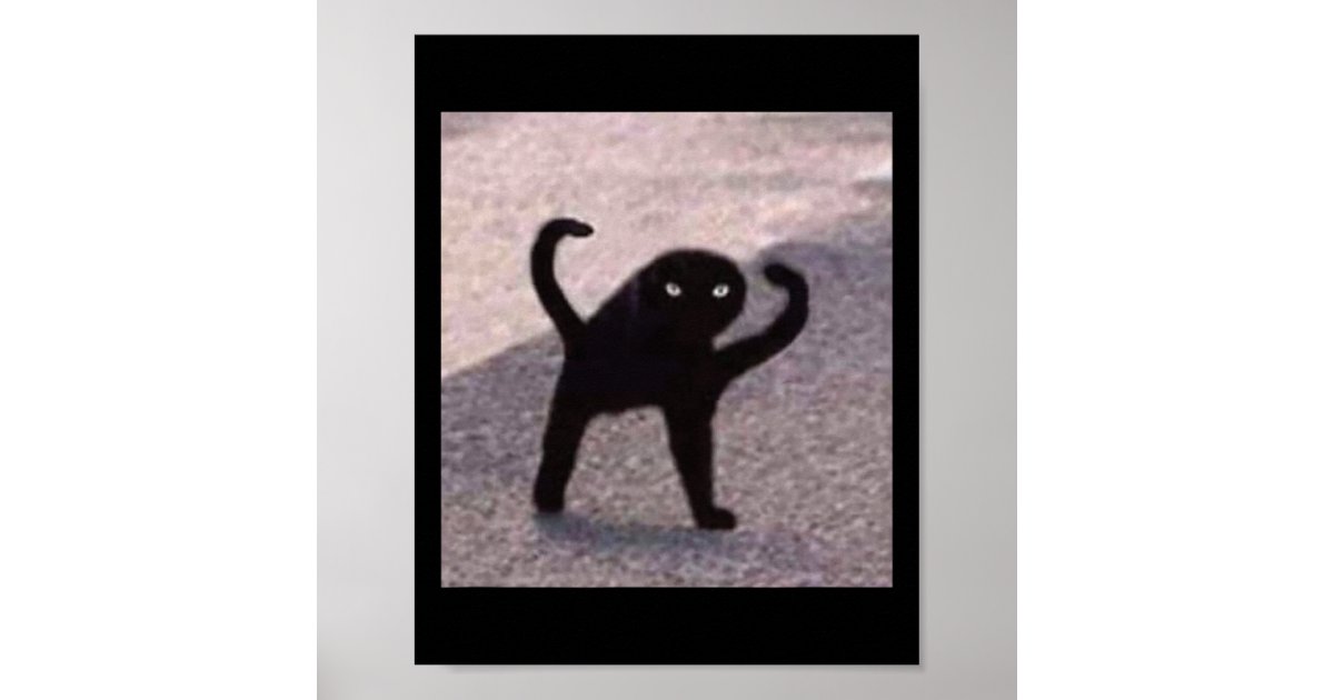Cursed Cat Memes Cursed Cat Angry As Meme Poster | Zazzle