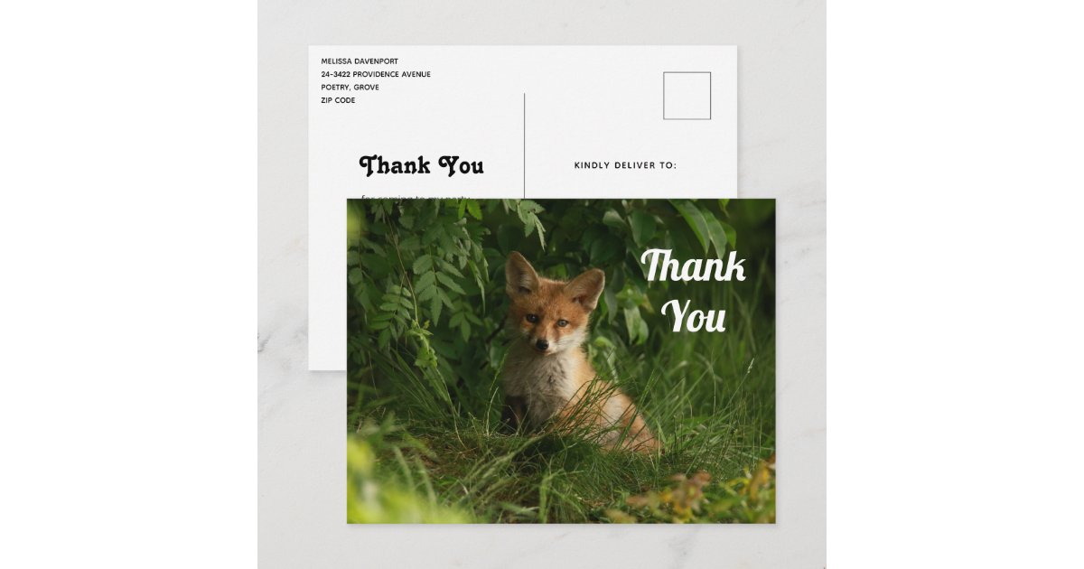 Cute Baby Fox in a Green Forest Thank You Postcard | Zazzle