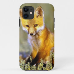 Fox iPhone Cases & Covers | Zazzle CA