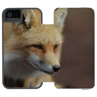 Fox iPhone Cases & Covers | Zazzle.com.au