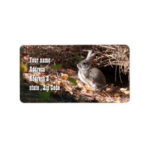 Cute Labels | Zazzle.ca