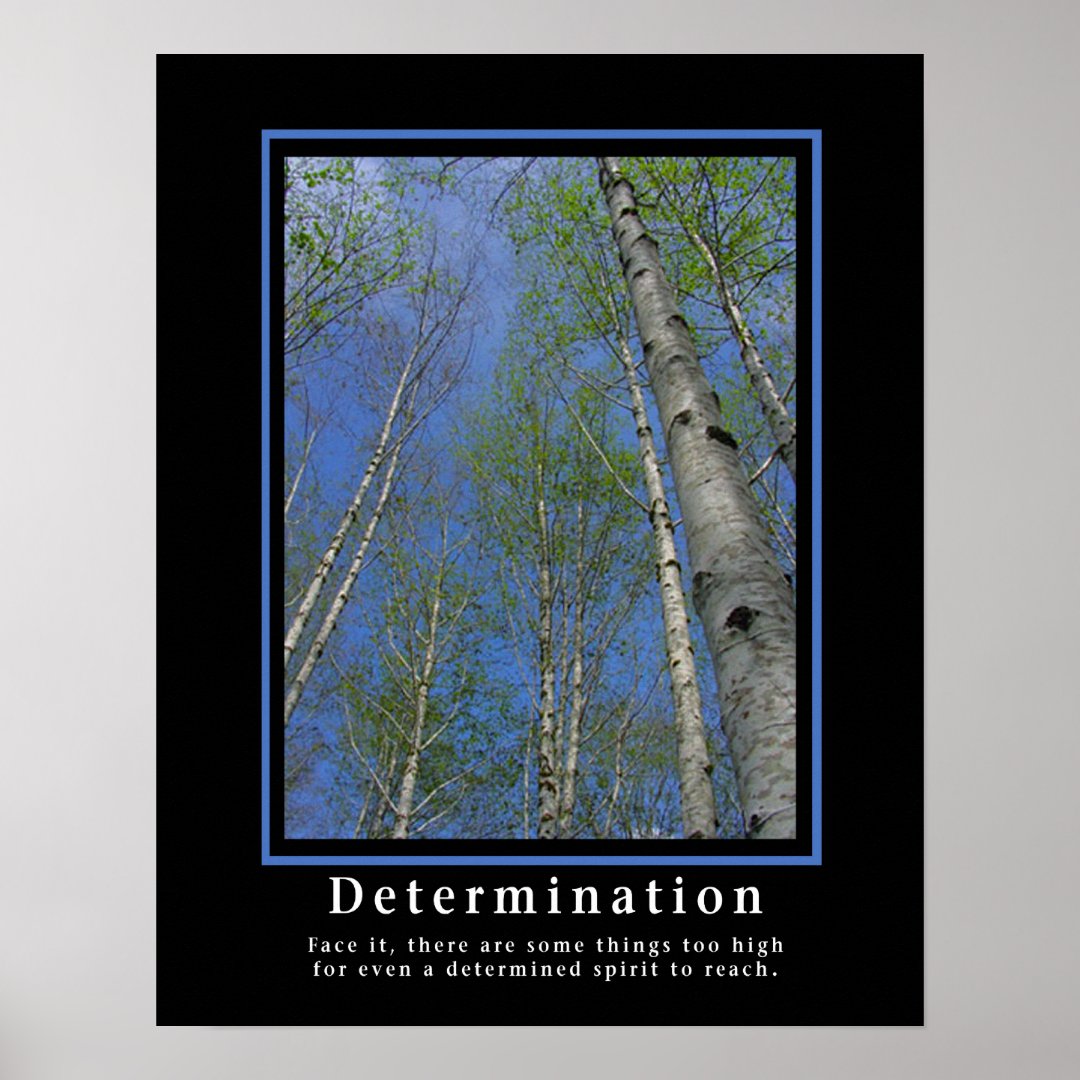 Demotivational Posters ... Determination | Zazzle