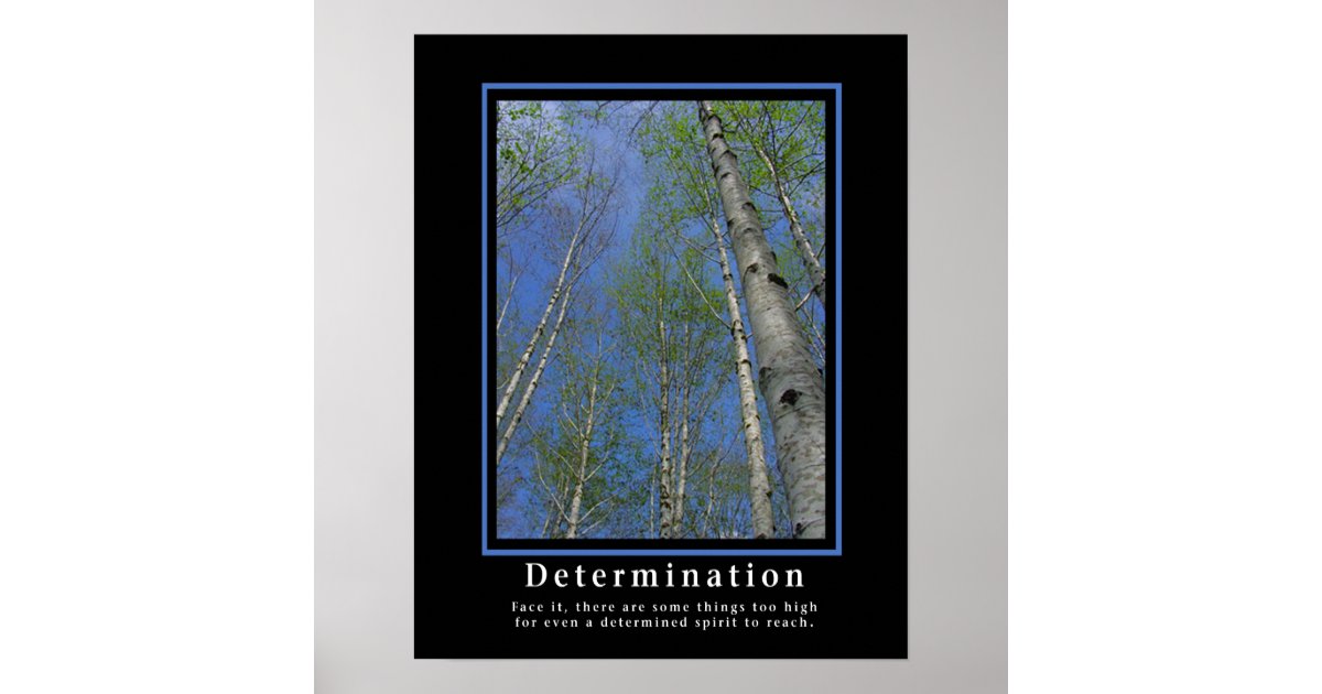 Demotivational Posters ... Determination | Zazzle