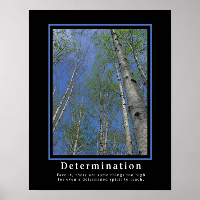 Demotivational Posters ... Determination | Zazzle