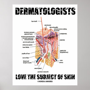 Dermatology Posters, Prints & Poster Printing | Zazzle CA