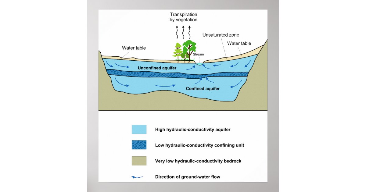 Diagram of the Aquatic Activity in an Aquifer Poster | Zazzle