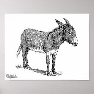 Mule Posters, Prints & Poster Printing | Zazzle CA