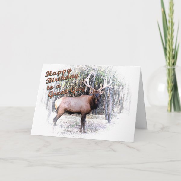 Elk Cards, Greeting Cards & More | Zazzle CA