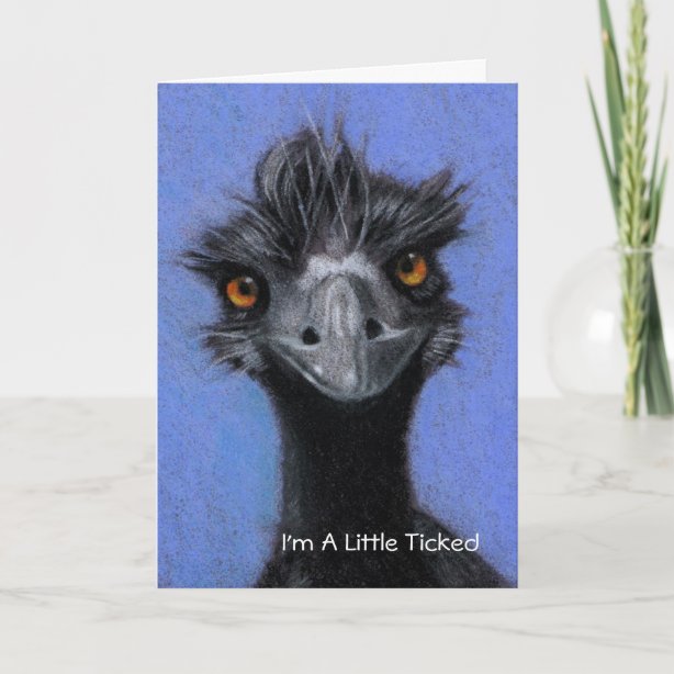 Emu Birthday Cards | Zazzle CA