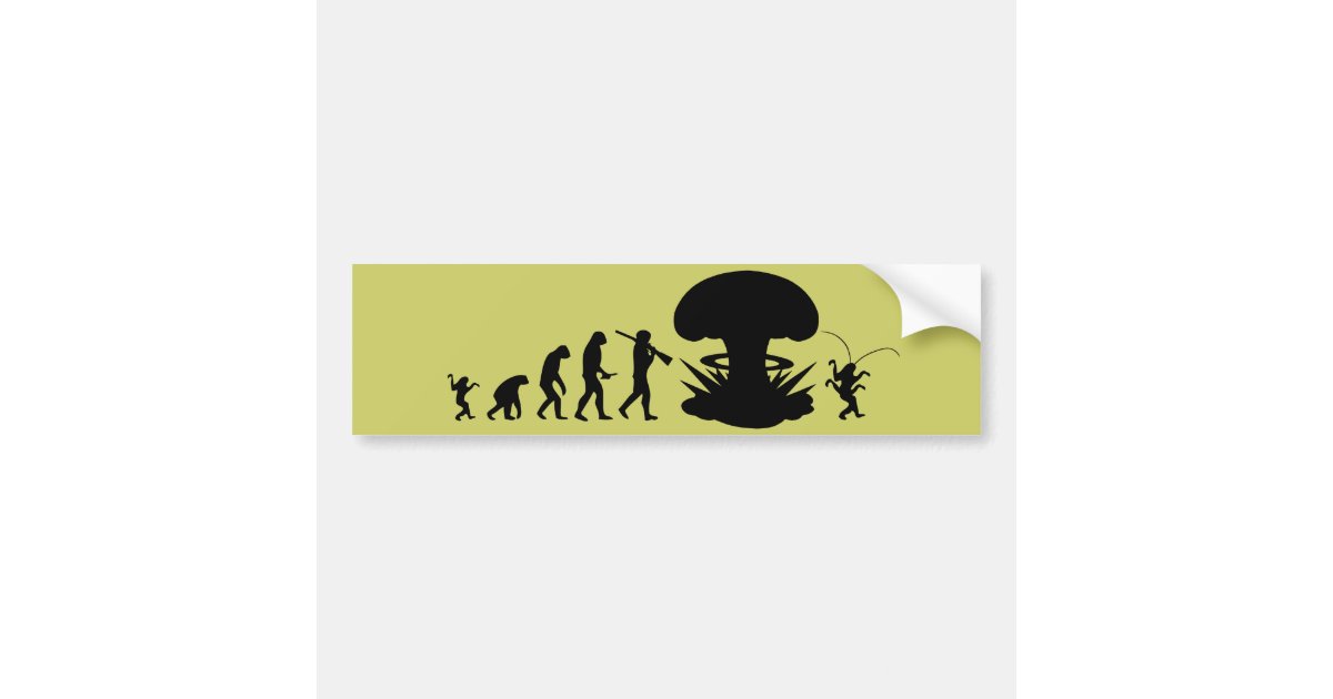 Evolution of Man & Cockroach Funny Evolution Chart Bumper Sticker | Zazzle
