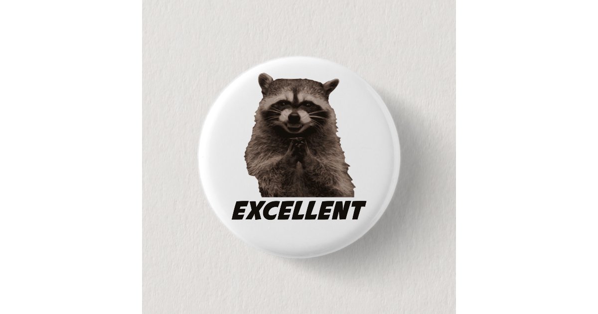 Excellent Evil Plotting Raccoon 1 Inch Round Button | Zazzle