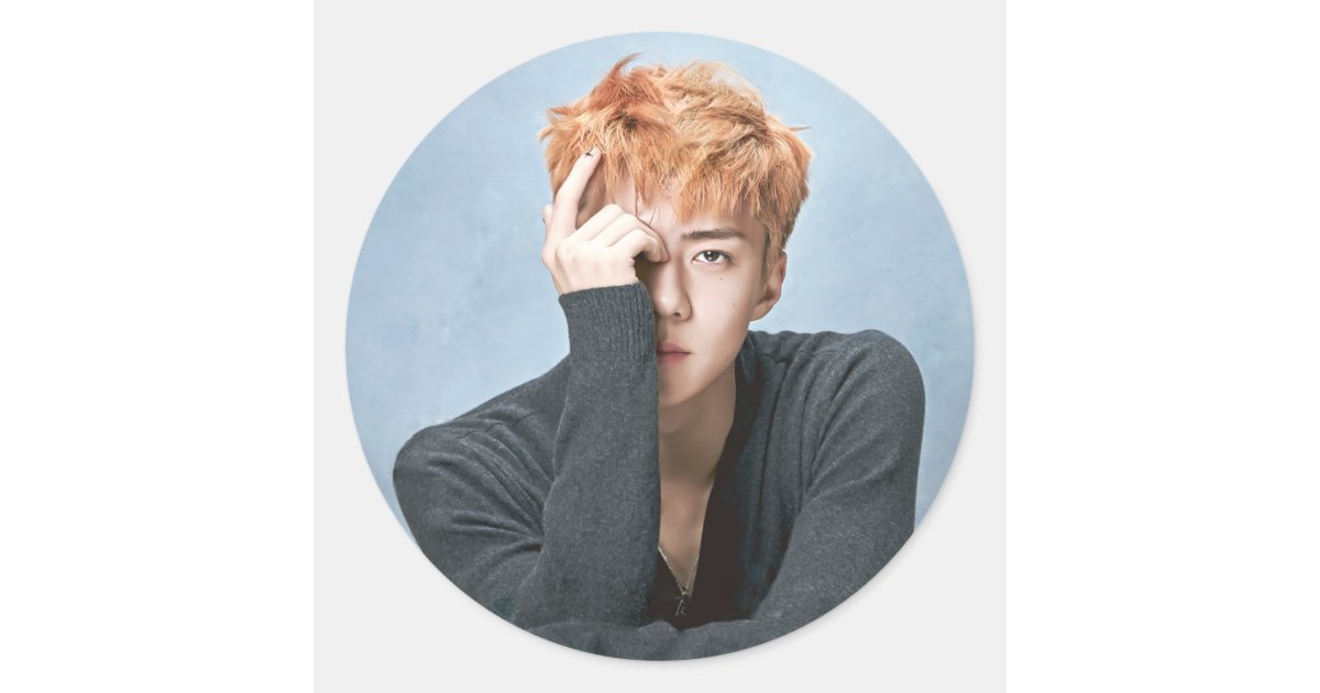 EXO Sehun Stickers | Zazzle