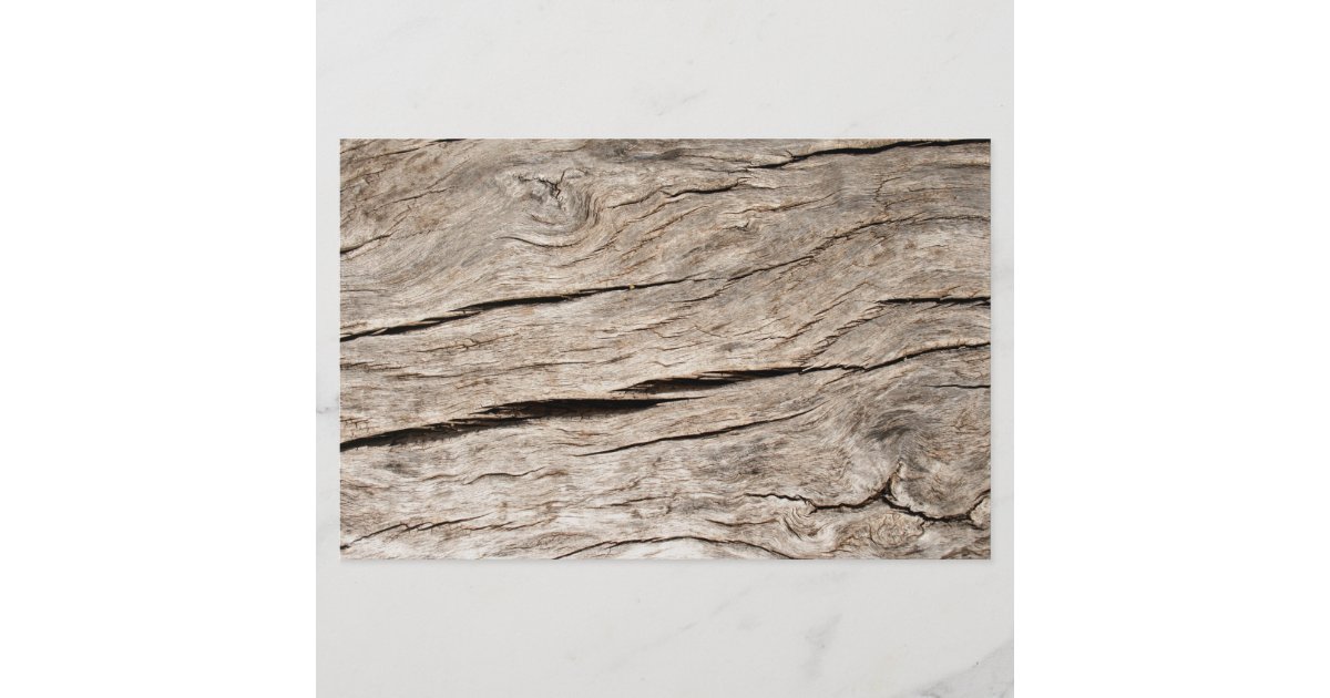 Faux Cracked Tree Bark Scrapbook Paper | Zazzle
