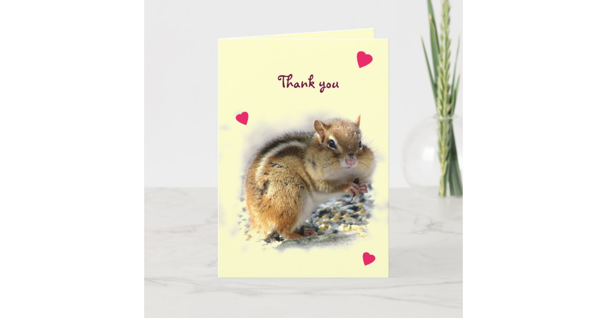 Feasting Chipmunk Thank You Greting Card | Zazzle