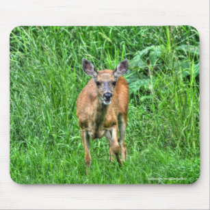 Mule Mouse Pads | Zazzle CA
