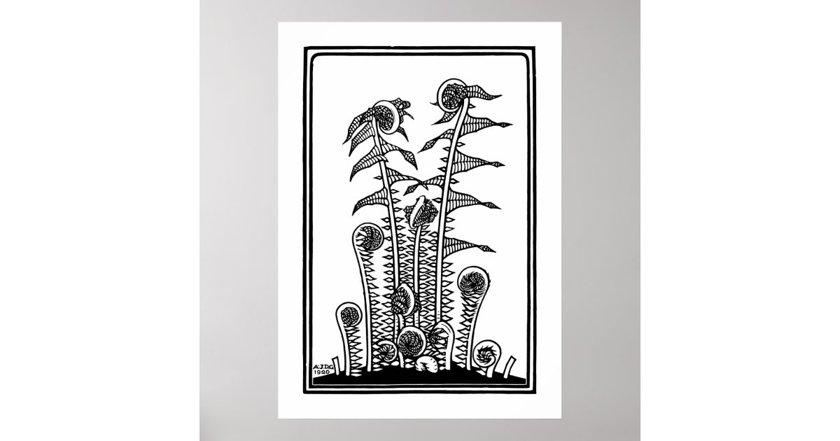 Ferns (1920) by Julie de Graag Vintage Woodcut Pos Poster | Zazzle