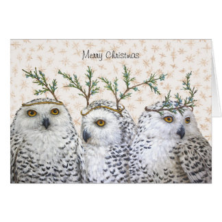 Owl Christmas Cards, Photocards, Invitations & More