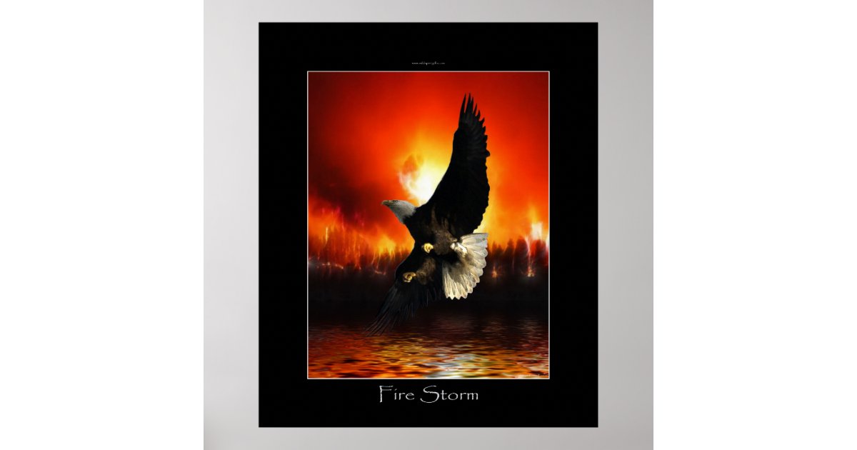 FIRESTORM Bald Eagle Art Poster | Zazzle