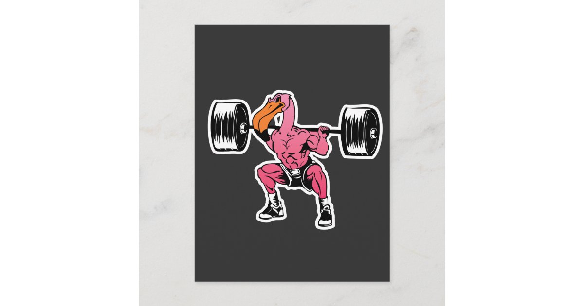 Fitness Flamingo Weightlifting Bodybuilder Muscle Postcard | Zazzle
