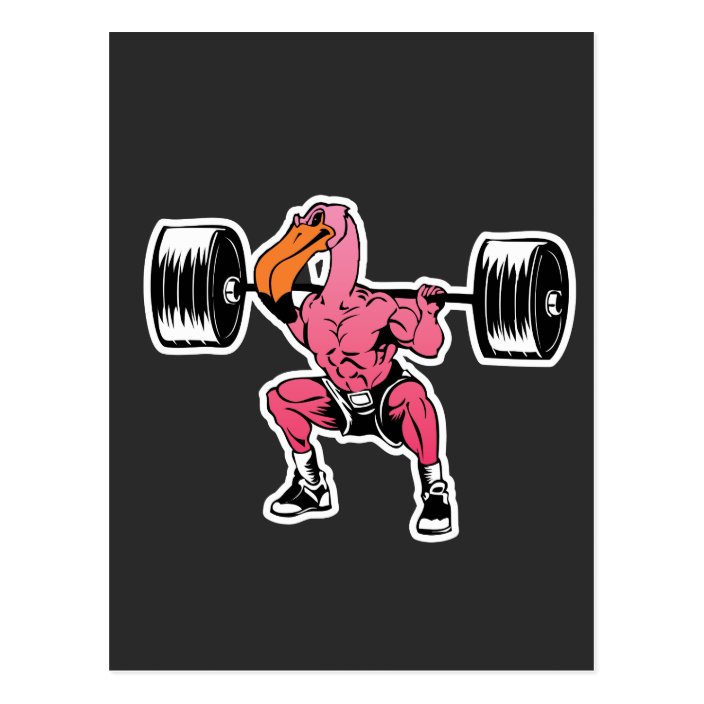 Fitness Flamingo Weightlifting Bodybuilder Muscle Postcard | Zazzle.ca