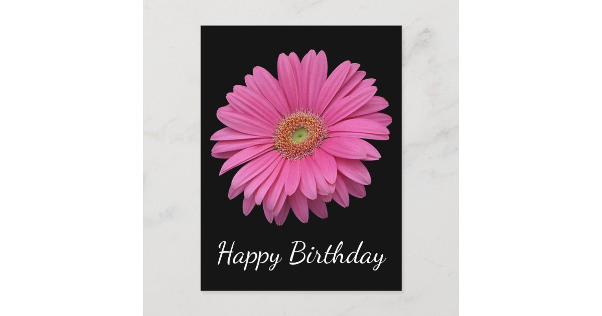 Floral Happy Birthday Pink Gerbera Daisy Black Postcard | Zazzle