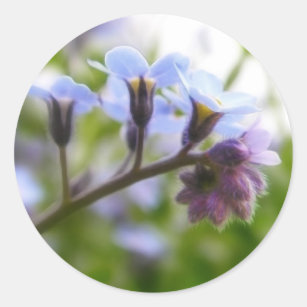 Forget Me Not Stickers | Zazzle CA
