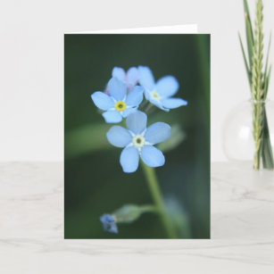 Forget Me Not Cards, Greeting Cards & More | Zazzle CA