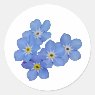 Forget Me Not Stickers | Zazzle CA