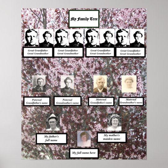 Four Generation Pink Blossom Family Tree Poster Zazzle ca