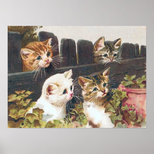 Vintage Cat Posters, Prints & Poster Printing | Zazzle CA