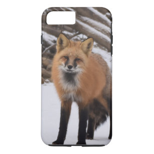 Fox iPhone Cases & Covers | Zazzle CA