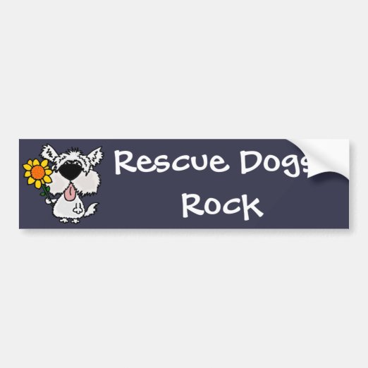 Cute Bumper Stickers & Car Stickers | Zazzle CA