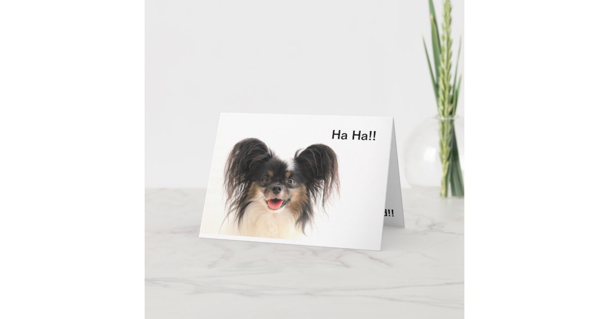 Funny Dog, Ha ha, You're Old Birthday Card | Zazzle