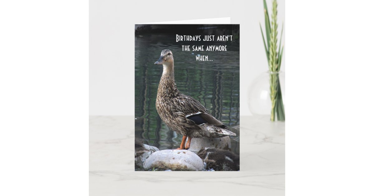 Funny Duck Birthday Card | Zazzle
