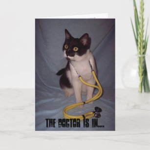 Funny Cat Get Well Cards - Well Wishes Cards | Zazzle.ca