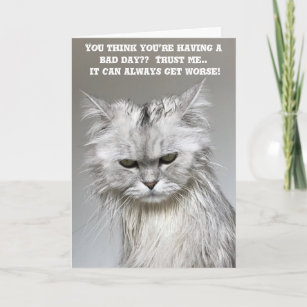 Funny Cat Get Well Cards - Well Wishes Cards | Zazzle.ca