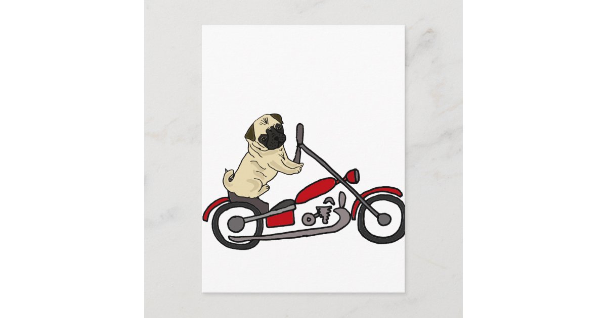Funny Pug Dog Riding Motorcycle Art Postcard | Zazzle