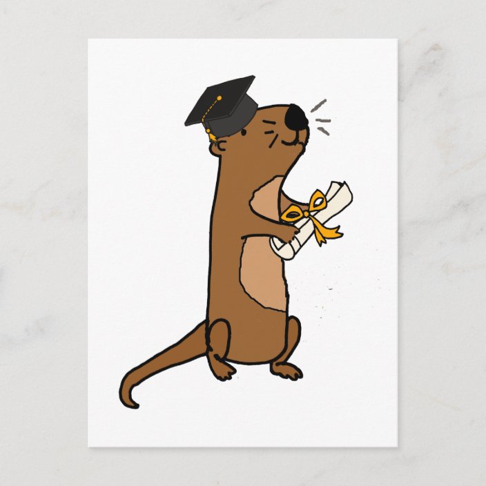 Funny Sea Otter Graduation Cartoon Announcement Postcard | Zazzle.ca