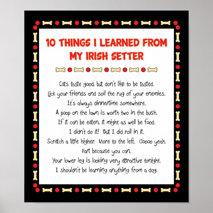 Funny Things I Learned From My Irish Setter Poster | Zazzle.ca