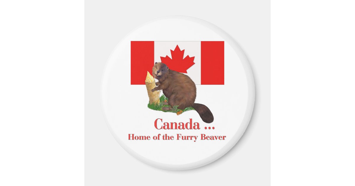 Furry Beaver Magnet | Zazzle