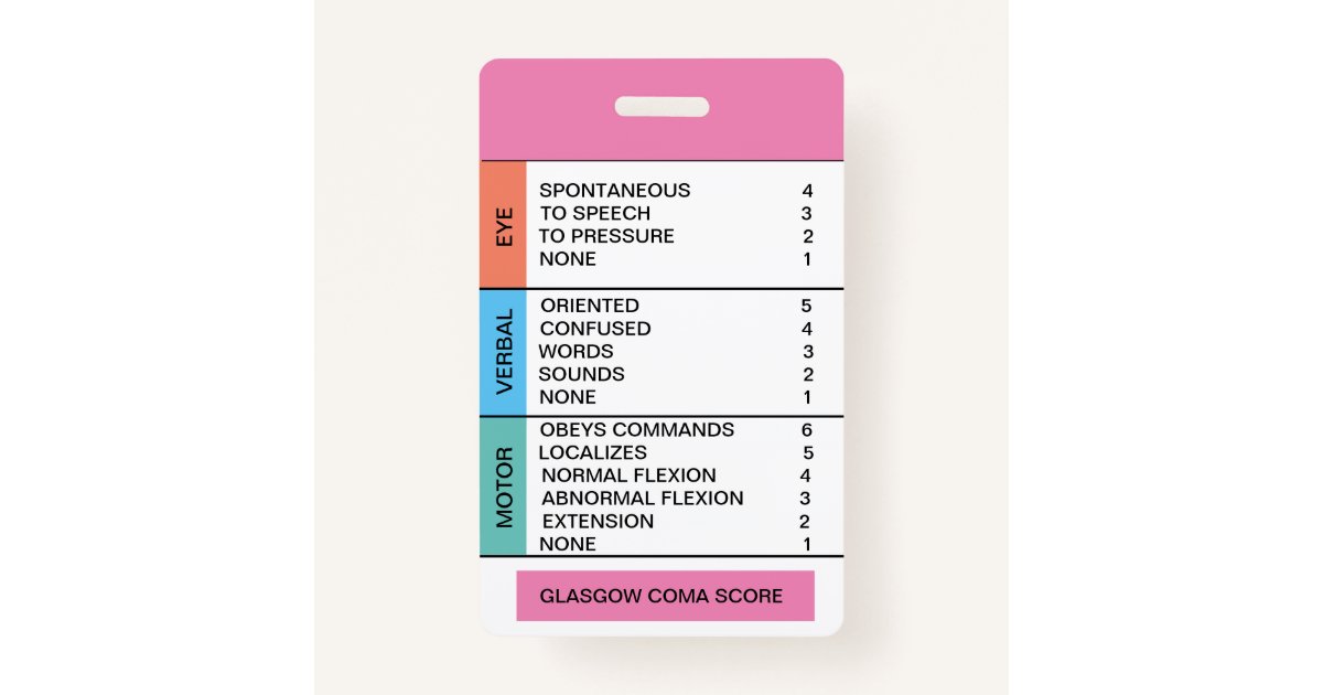 GCS/Consciousness Cheat Sheet for Badge Reel | Zazzle