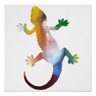 Gecko Lizard Posters, Prints & Poster Printing | Zazzle CA