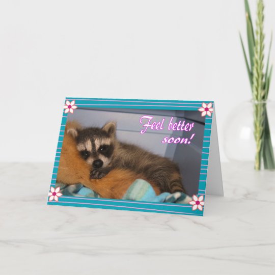 Get well soon raccoon card | Zazzle.ca