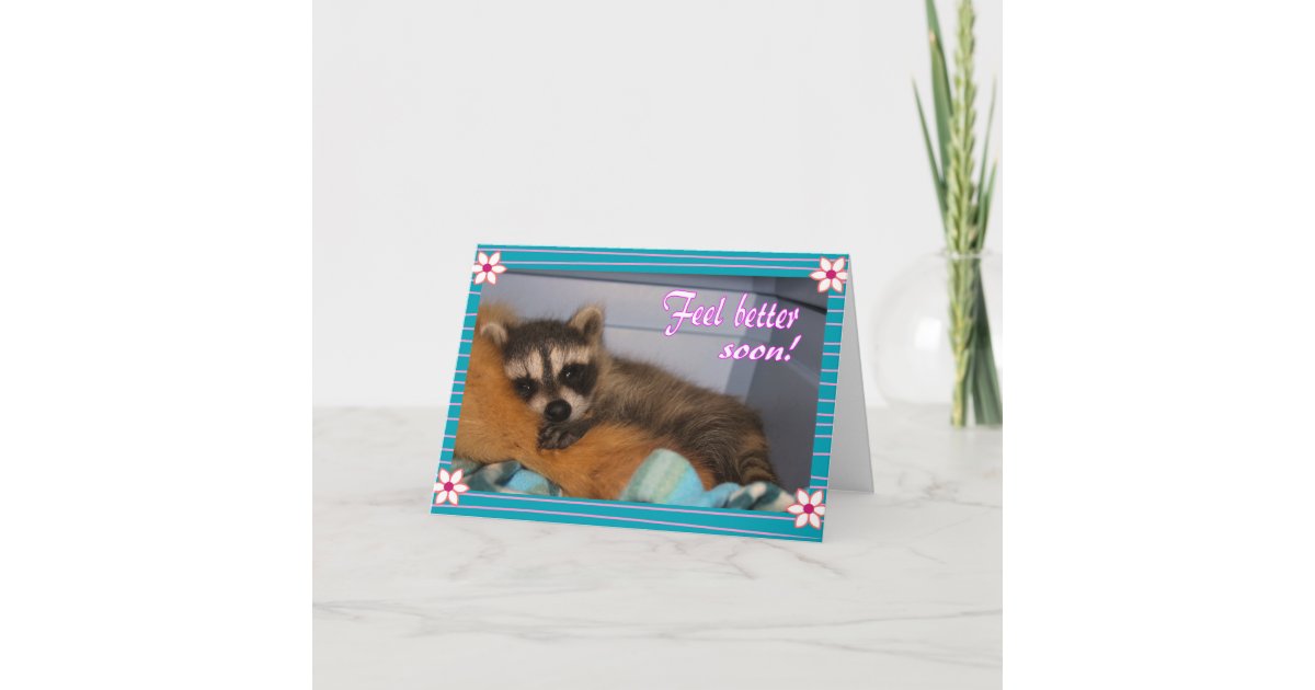 Get well soon raccoon card | Zazzle