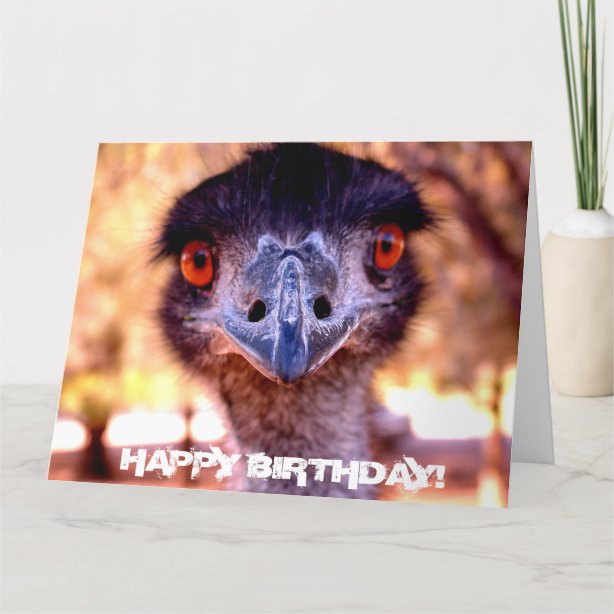 Emu Birthday Cards | Zazzle CA