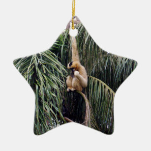 Monkey Ornaments & Christmas Ornaments | Zazzle CA